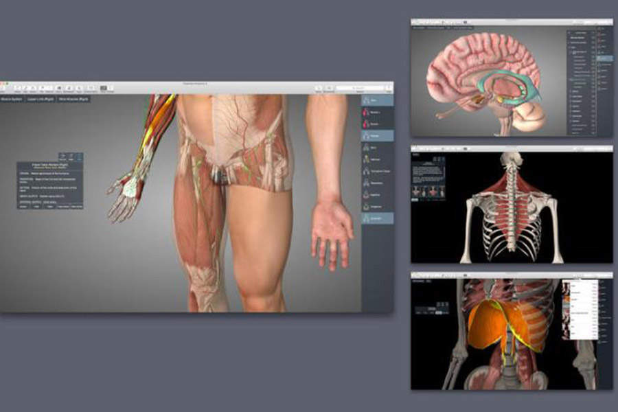 Free Download Complete Anatomy MacOS – 3D software simulating human anatomy